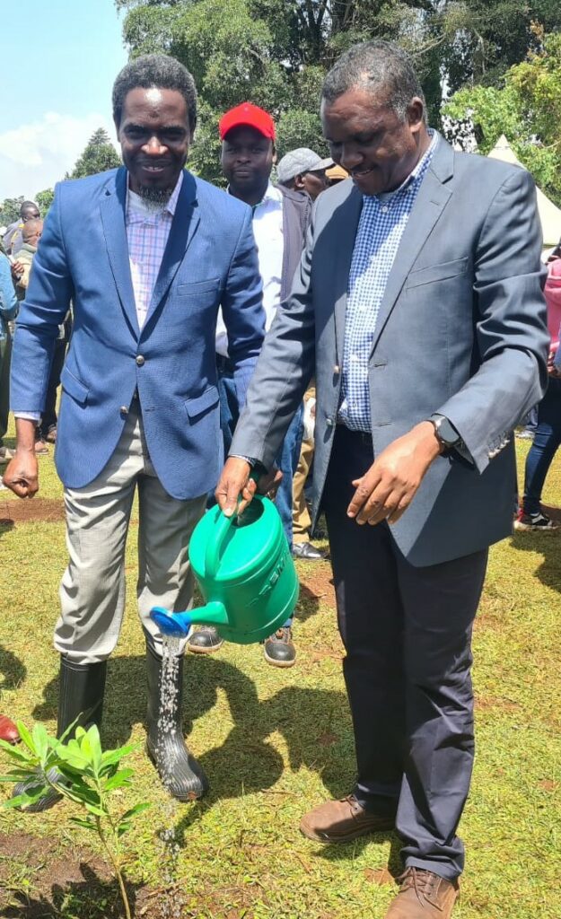 RBA partners with Netfund to plant 4,000 trees - Retirement Benefit ...