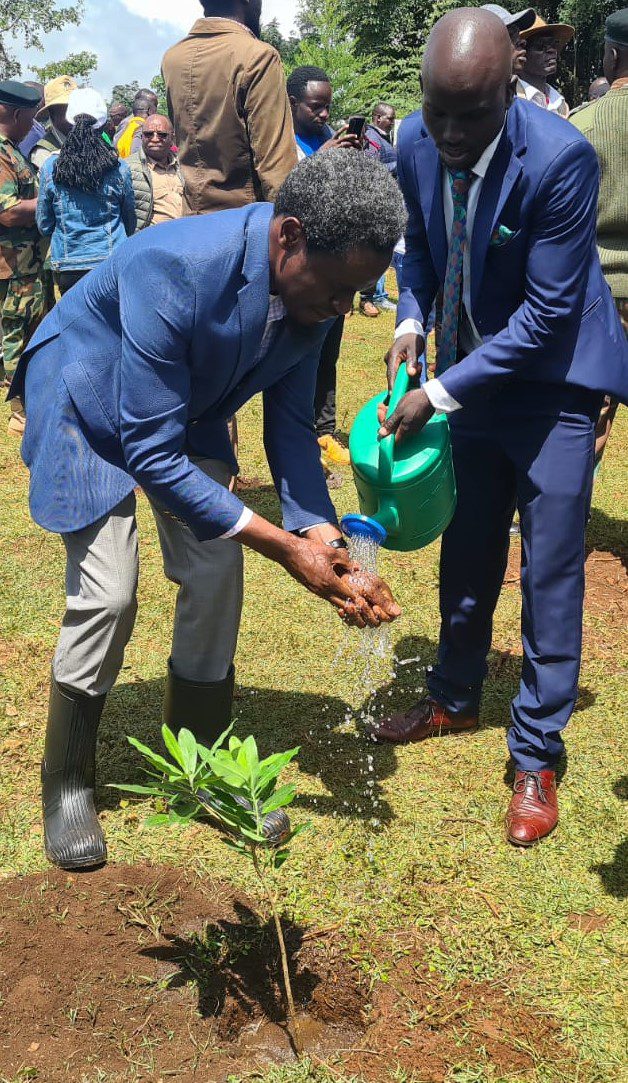 RBA partners with Netfund to plant 4,000 trees - Retirement Benefit ...